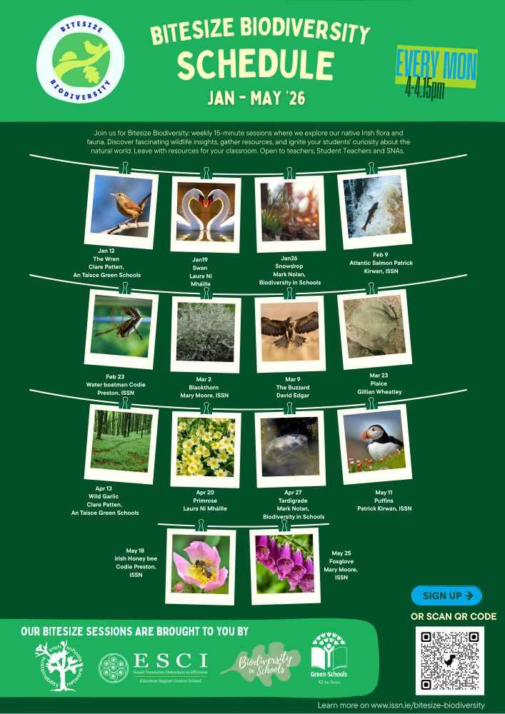 Bitesize Biodiversity Spring 2026 Schedule (P) (PP)-Primary - Clare ...